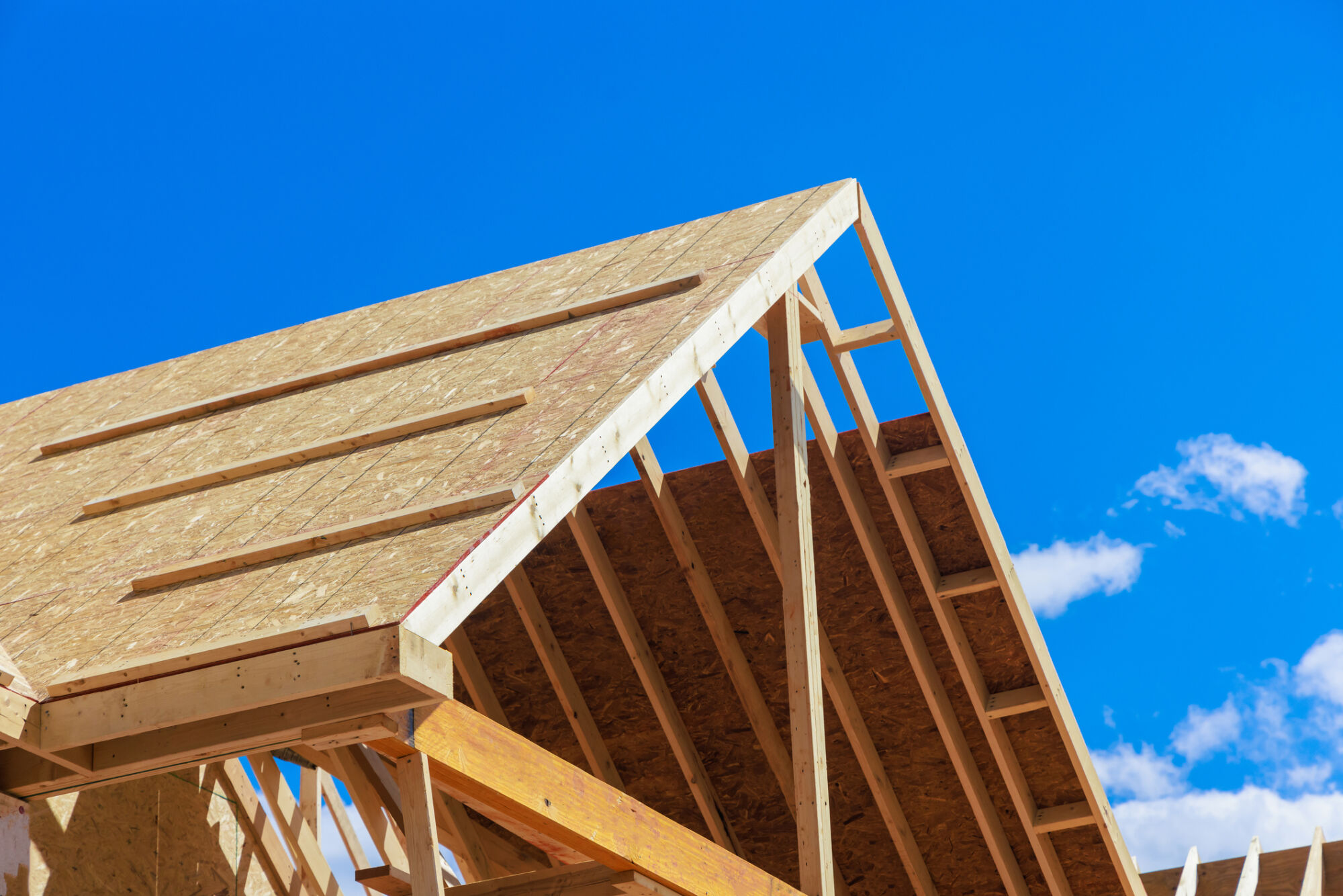 Zenzic secures £45m back leverage loan from Cynergy Bank